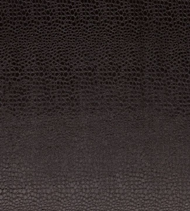 Pulse Fabric by Clarke & Clarke in Jet | Jane Clayton