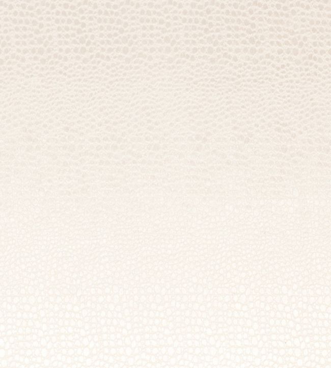 Pulse Fabric by Clarke & Clarke in Pearl | Jane Clayton
