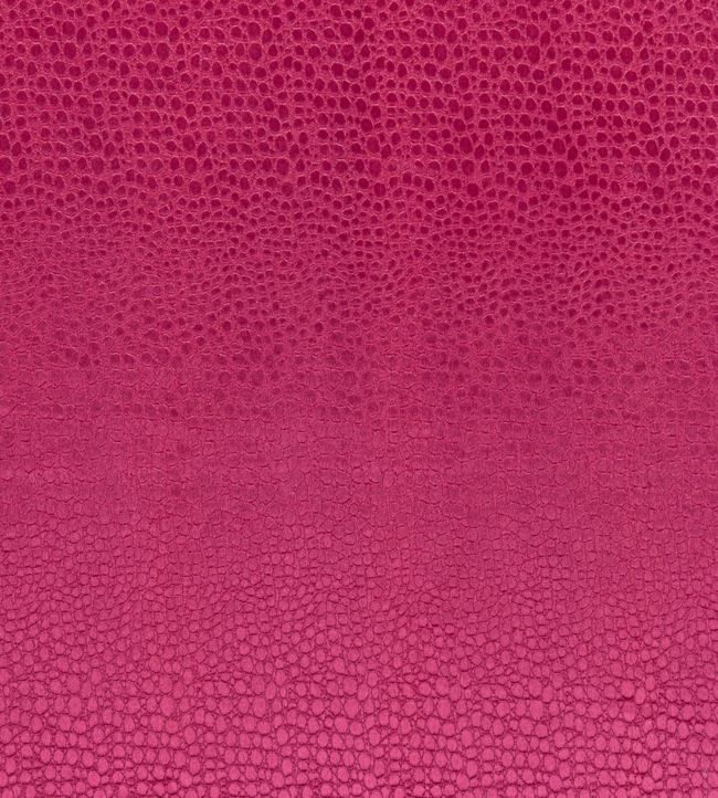 Pulse Fabric by Clarke & Clarke in Sorbet | Jane Clayton