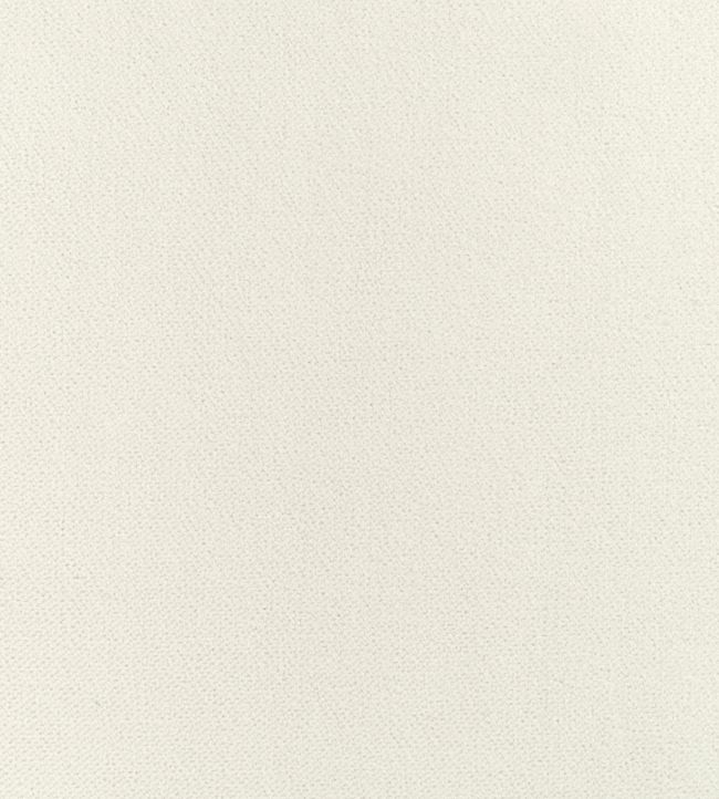 Club Velvet Fabric in Ivory by Thibaut | Jane Clayton