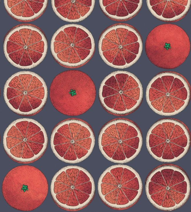 Arance Wallpaper by Cole & Son in Blood Orange and Ink | Jane Clayton