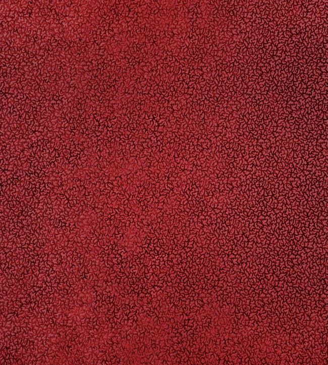 Cora Fabric in Coraux by Casal | Jane Clayton