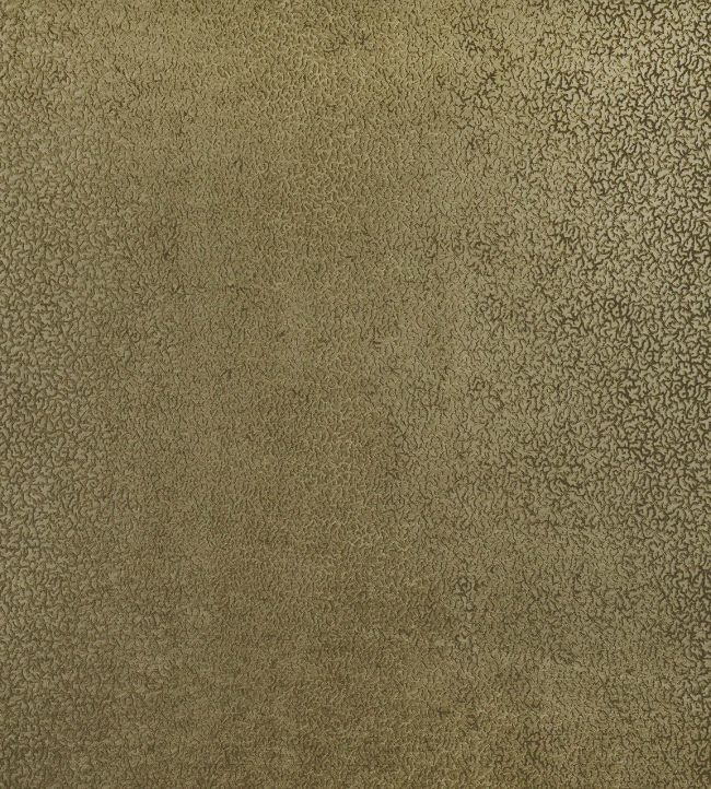 Cora Fabric in Mousse by Casal | Jane Clayton