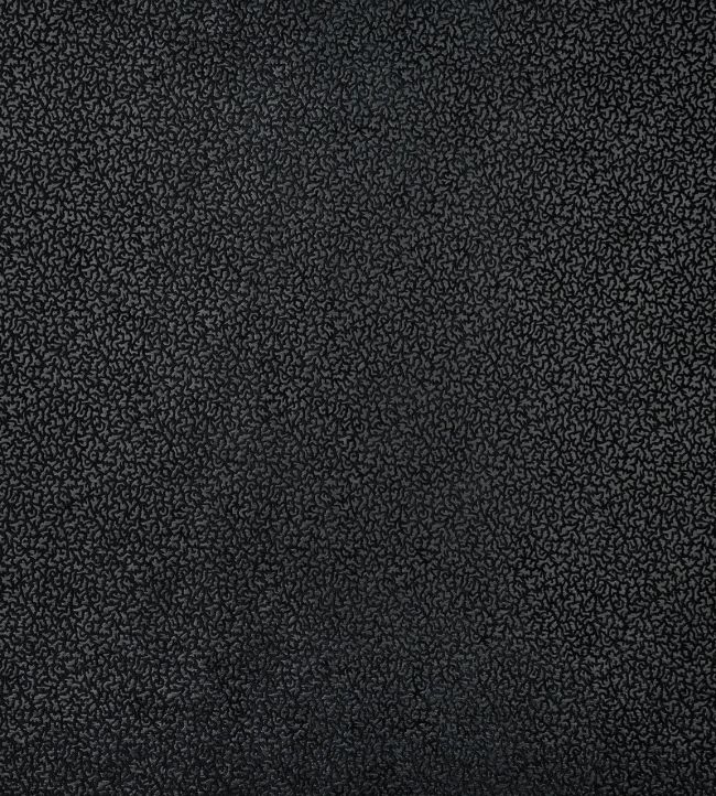 Cora Fabric in Noir De Jais by Casal | Jane Clayton