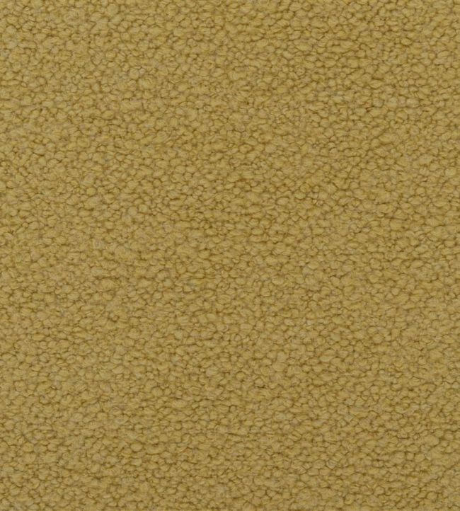 Cormo Fabric in Acacia by Designers Guild | Jane Clayton