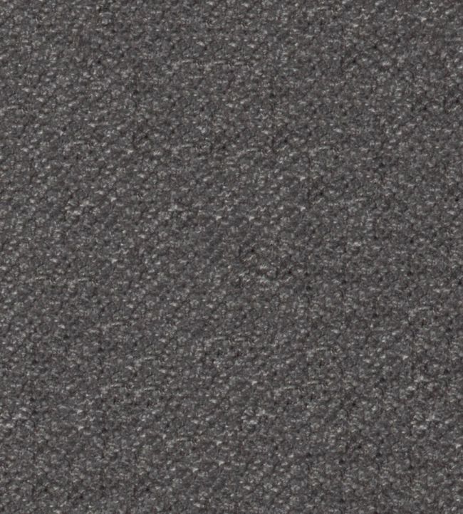 Cozy Fabric in Graphite by Wemyss | Jane Clayton