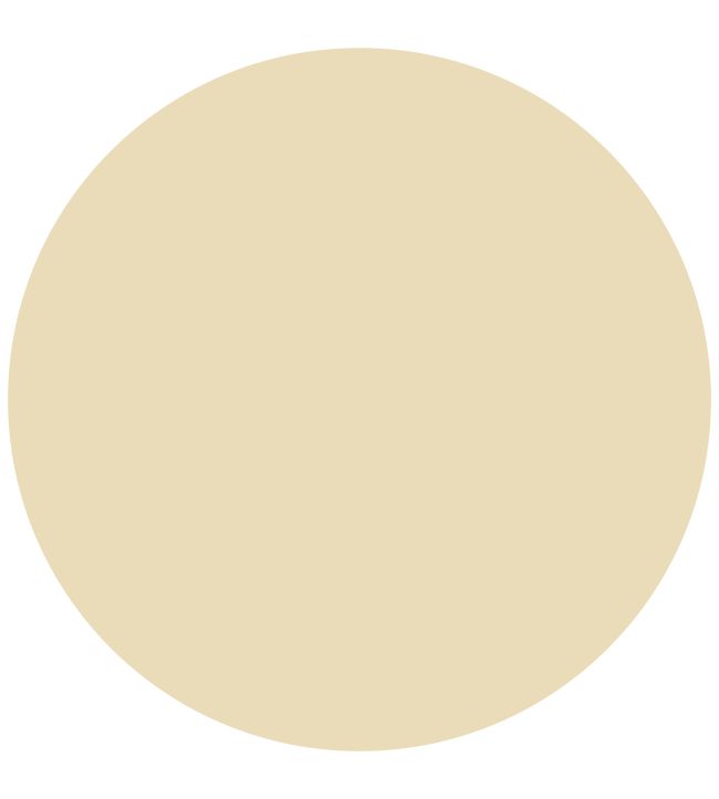 Zoffany Cream True Matt Emulsion Paint | Jane Clayton