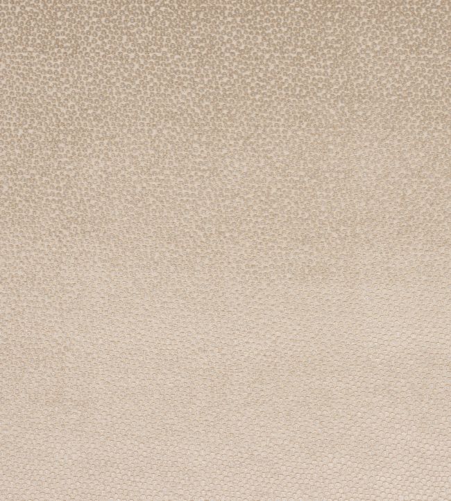 Darwin Fabric in Stone by Jane Churchill | Jane Clayton