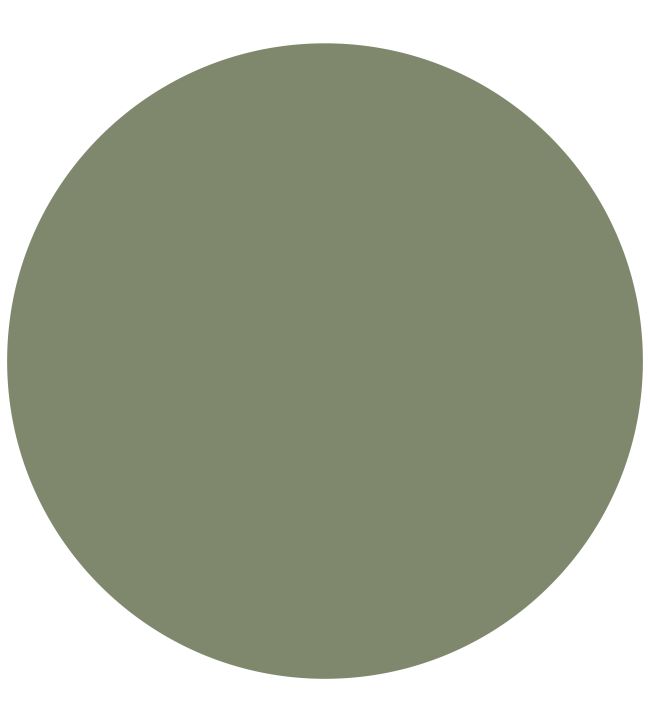 Deep Adam Green Paint in Deep Adam Green by Craig & Rose | Jane Clayton