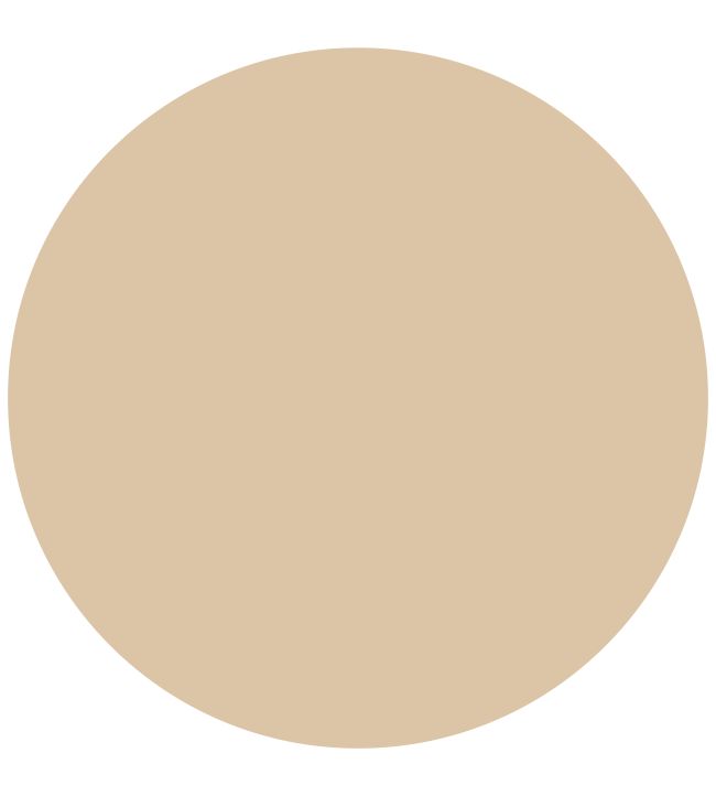 Deep Sung Cream Paint in Deep Sung Cream by Craig & Rose | Jane Clayton