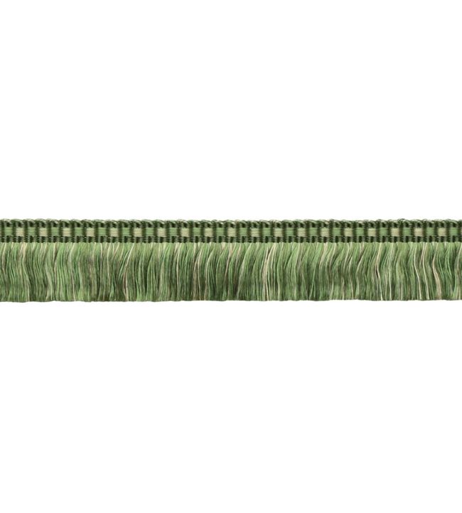Delicat Silk Moss Fringe Trimmings in Basil by Samuel & Sons | Jane Clayton
