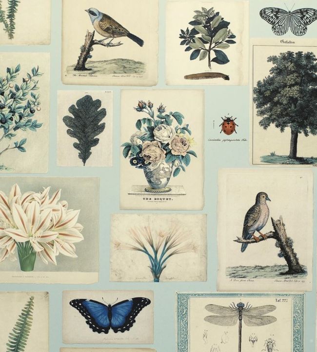 Flora And Fauna Wallpaper by Designers Guild in Cloud Blue | Jane Clayton