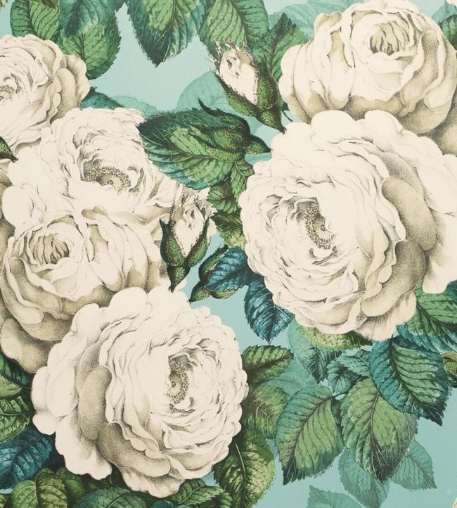 The Rose Wallpaper by Designers Guild in Swedish Blue | Jane Clayton