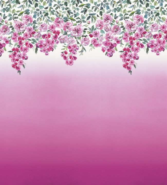 Trailing Rose Wallpaper Mural by Designers Guild in Peony | Jane Clayton