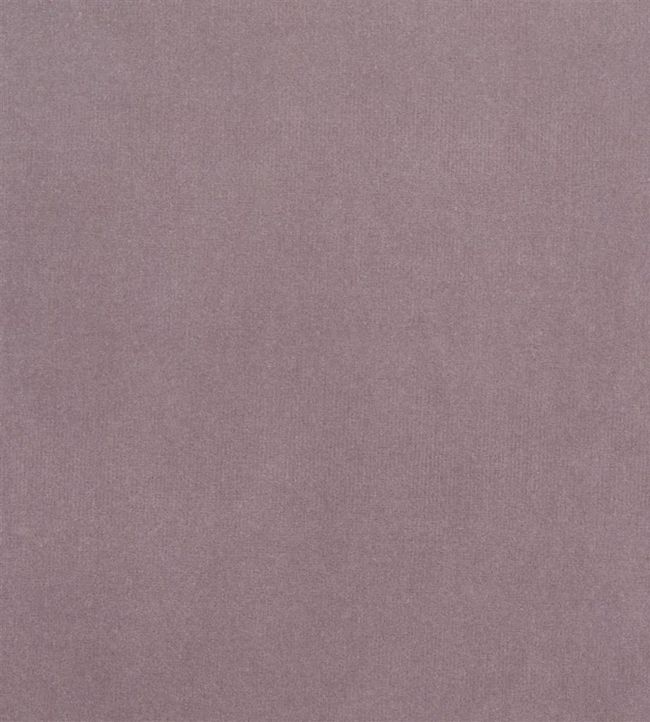 Velluto Stretto Fabric by Designers Guild in Clover | Jane Clayton