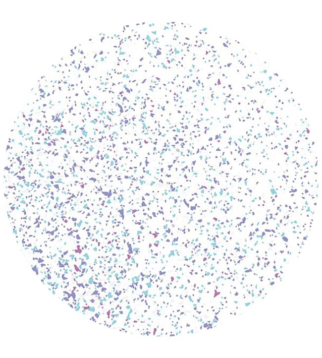 Diamond Dust Paint in Glitter Glaze by Craig & Rose | Jane Clayton