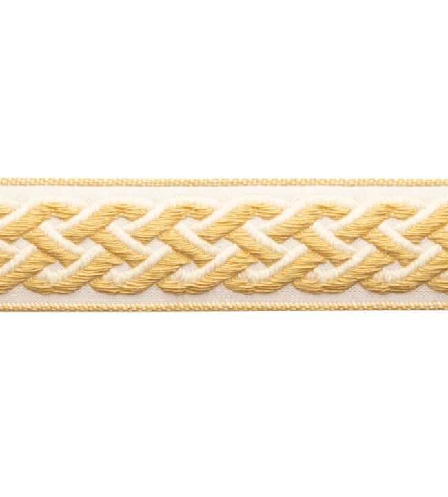 Dorset Braided Border Trimmings in Honey by Samuel & Sons | Jane Clayton