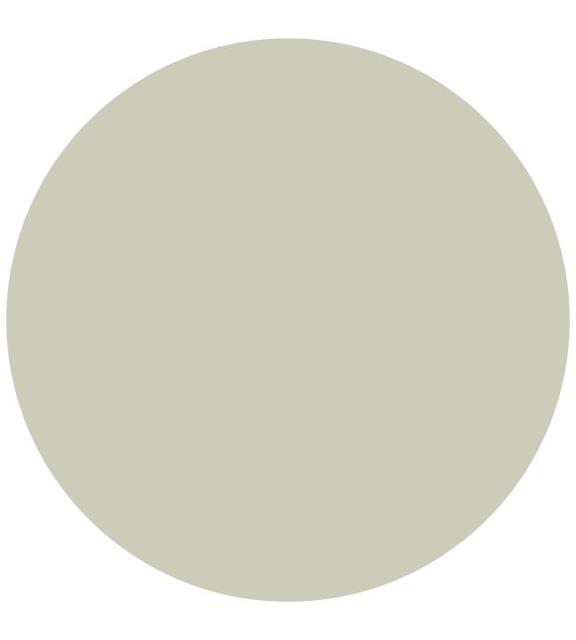 Sanderson Driftwood Grey Light Active Emulsion Paint | Jane Clayton
