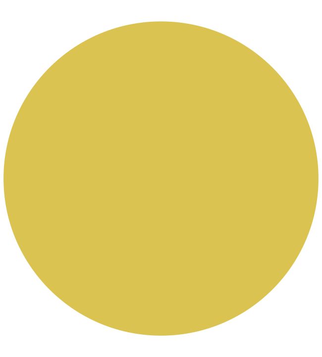 Annie Sloan English Yellow Chalk Paint | Jane Clayton