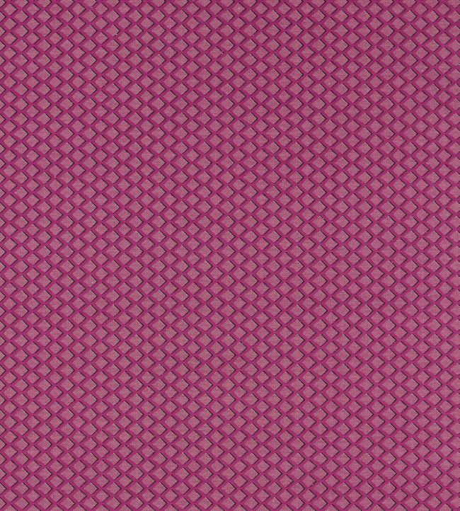 Equator Fabric in Raspberry by Clarke & Clarke | Jane Clayton