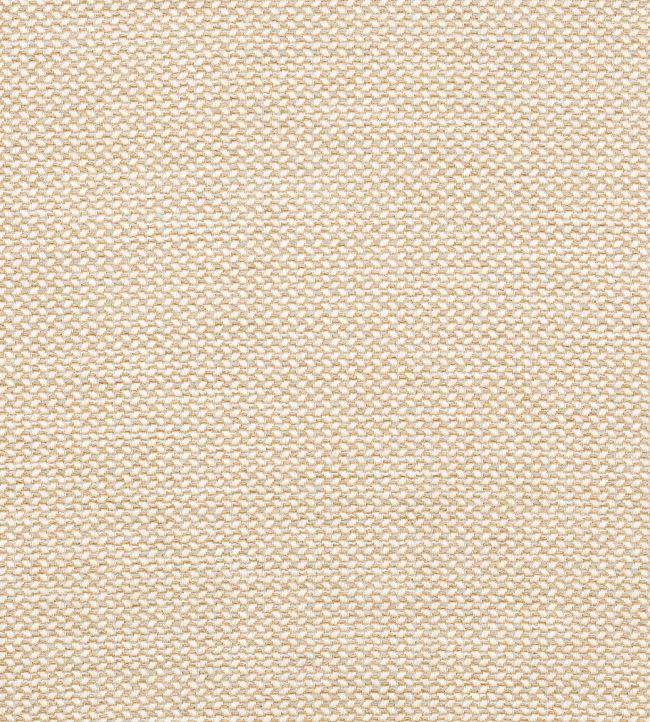 Erith Fabric in Sand by Colefax and Fowler | Jane Clayton