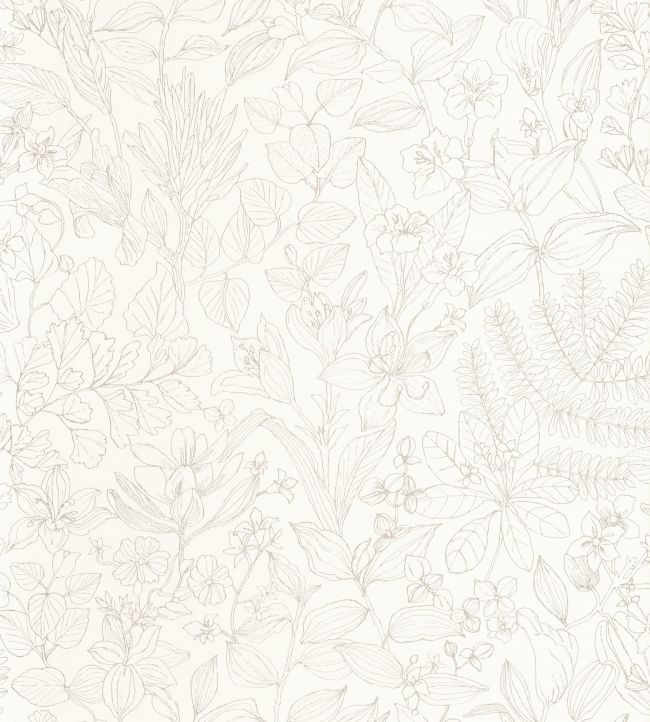 Esquisse Wallpaper in Beige Lin by Casadeco | Jane Clayton