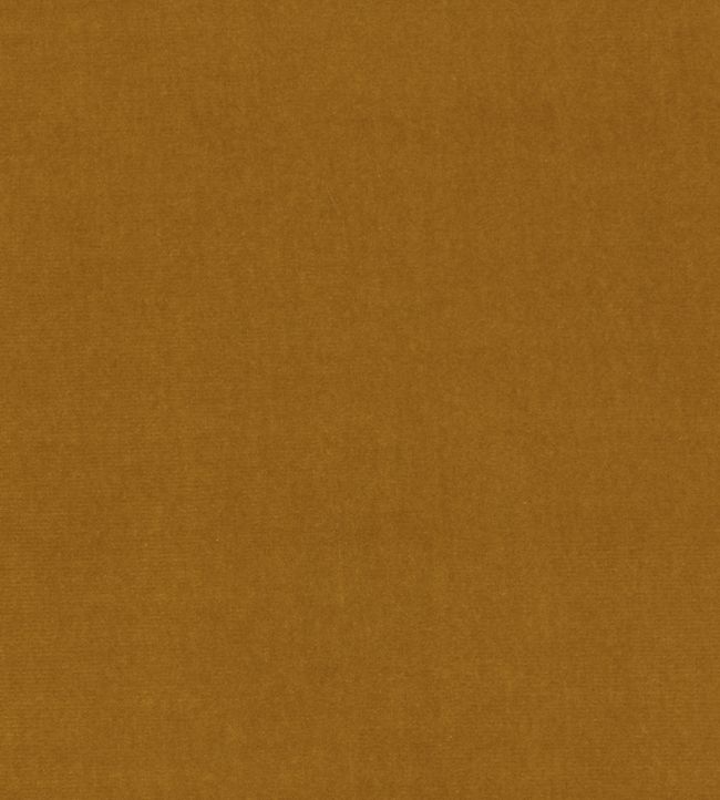 Eternal Fabric in Ochre by Lizzo | Jane Clayton