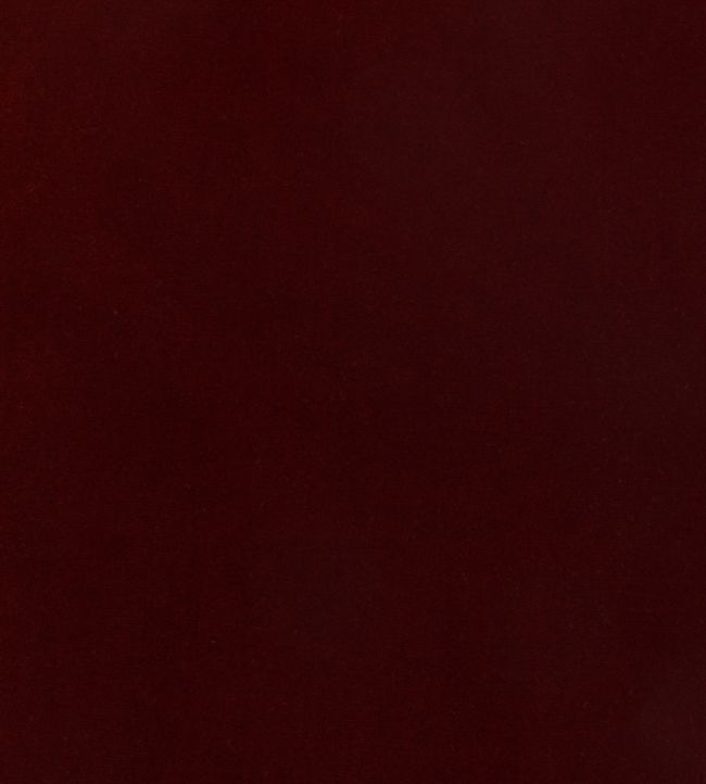 Eternal Fabric in Deep Red by Lizzo | Jane Clayton