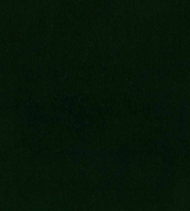 Eternal Fabric in Emerald by Lizzo | Jane Clayton