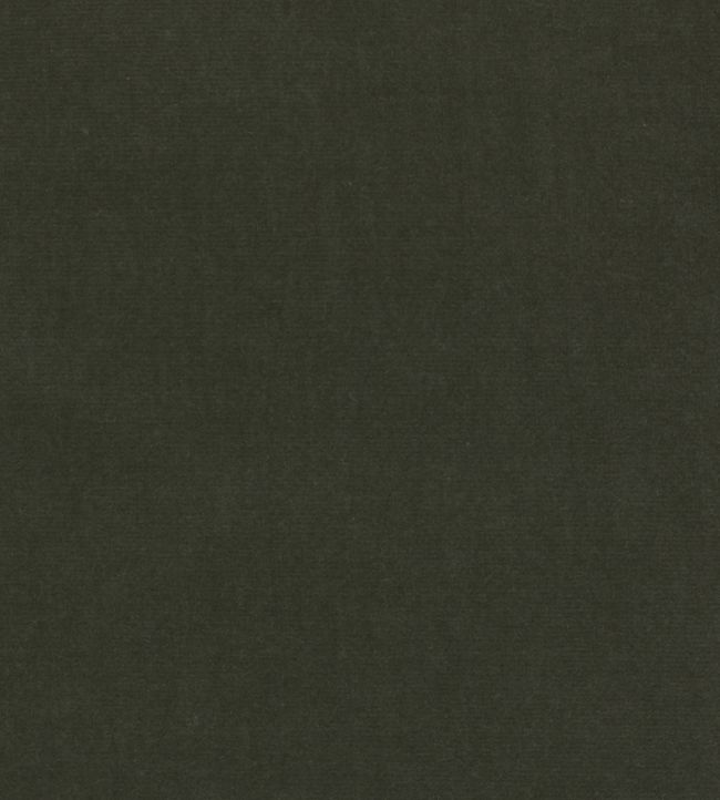 Eternal Fabric in Seaweed by Lizzo | Jane Clayton