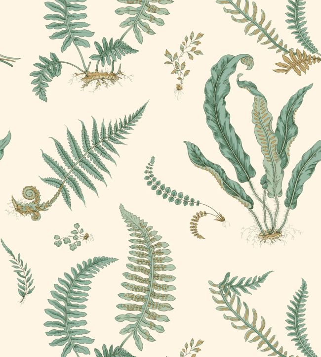 Ferns Wallpaper in Verdigris by GP & J Baker | Jane Clayton
