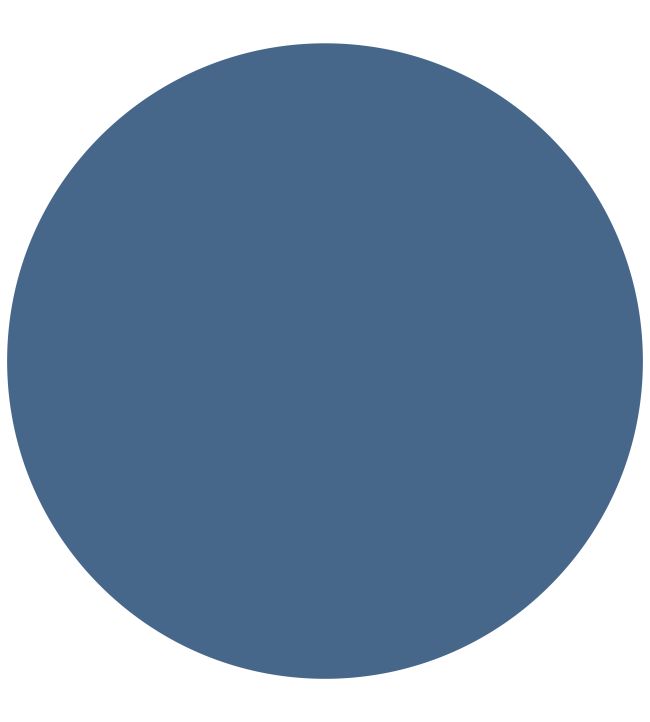 Flanders Blue Paint in Flanders Blue by Craig & Rose | Jane Clayton