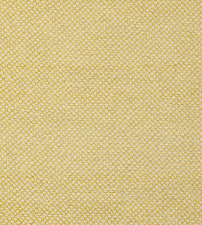 Fontwell Fabric in Maize by Titley and Marr | Jane Clayton
