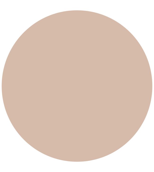 Craig & Rose Fresh Plaster Paint | Jane Clayton