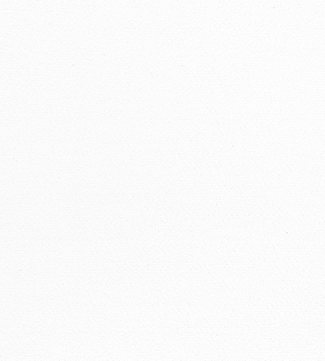 Freya Fabric in Bleach White by Thibaut | Jane Clayton