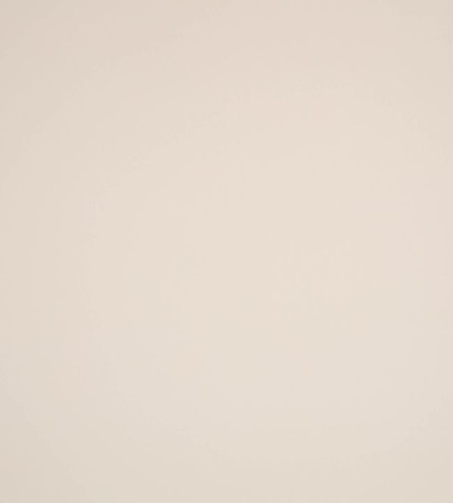 Frieda Fabric in Jasmine by Temperley London for Romo | Jane Clayton