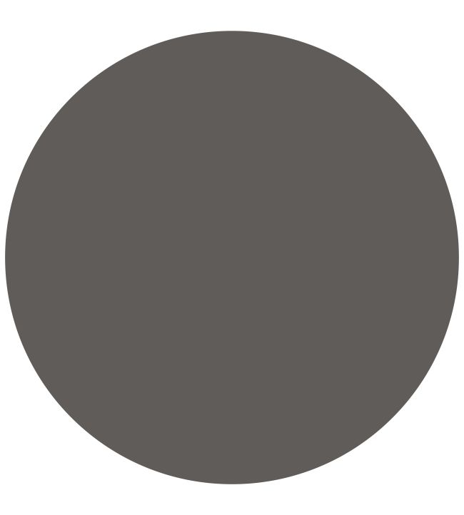Mylands FTT-015 - Raw Umber Paint | Jane Clayton
