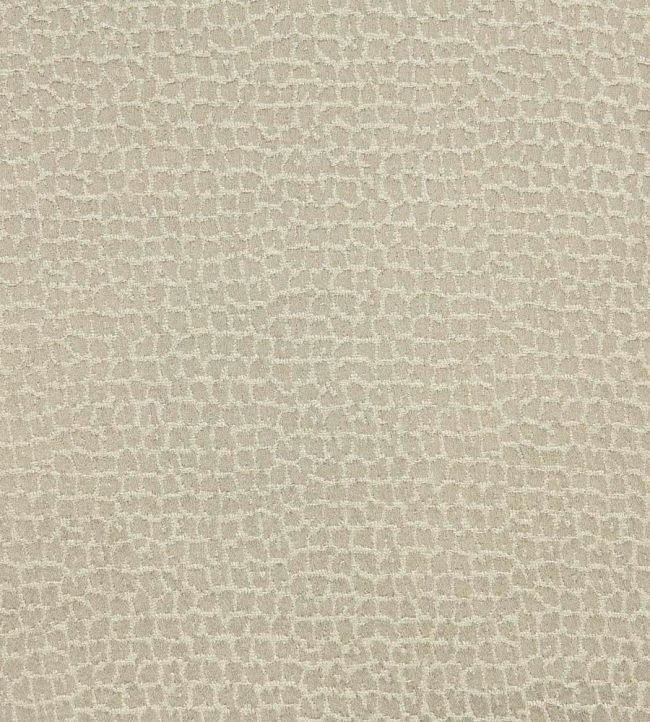 Gaudi Fabric in Beige by Lizzo | Jane Clayton