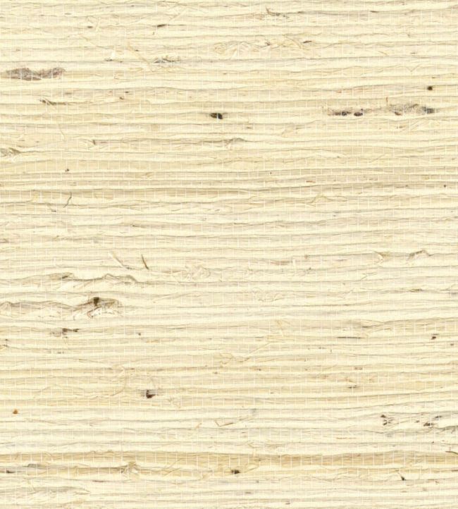 Grasscloth Wallpaper in Parfum de lumiere by Elitis | Jane Clayton