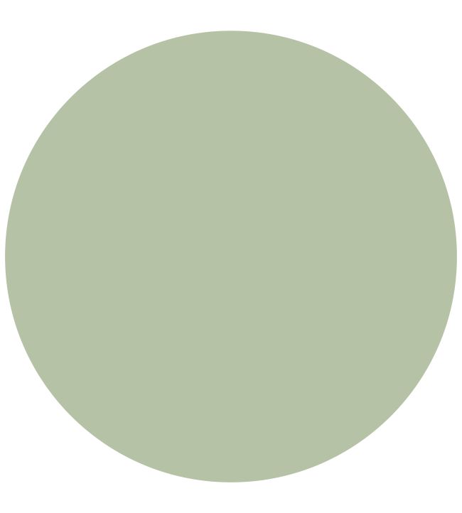 Sanderson Green Grotto Active Emulsion Paint | Jane Clayton