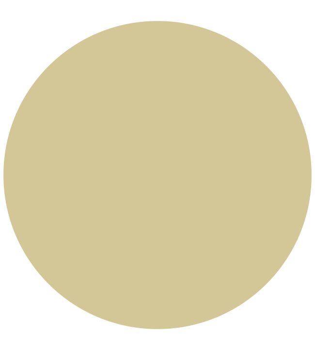 Zoffany Green Tea True Matt Emulsion Paint | Jane Clayton