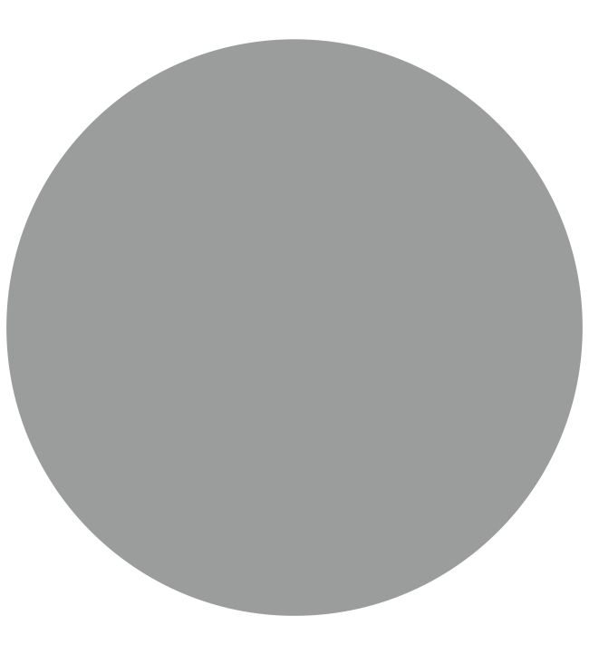 Sanderson Gull Grey Active Emulsion Paint | Jane Clayton