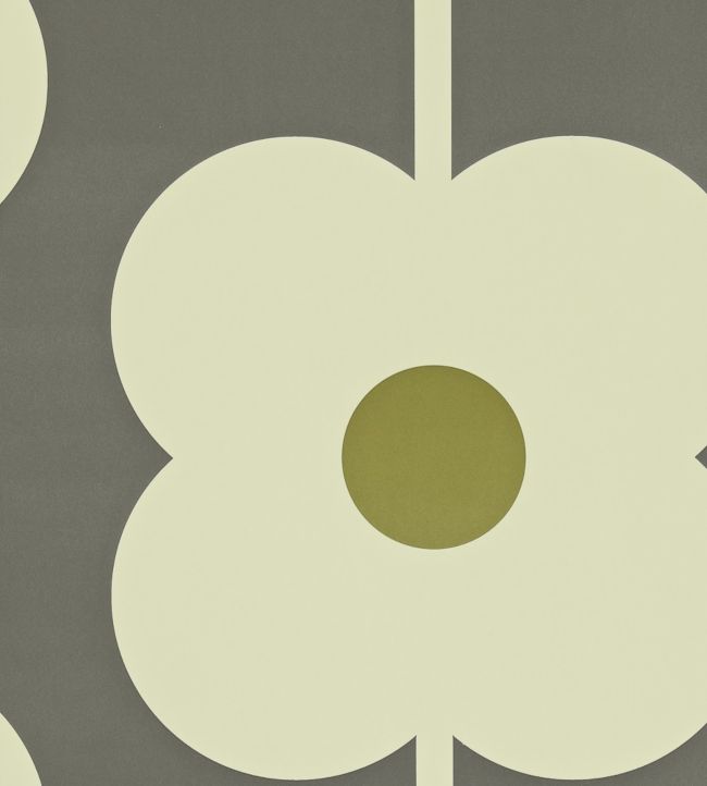 Giant Abacus Flower Wallpaper by Orla Kiely in 409 | Jane Clayton