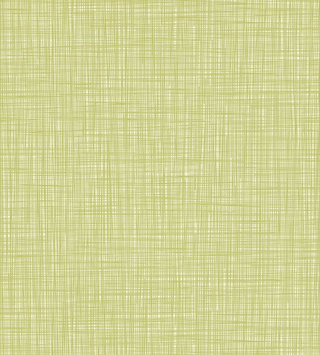 Scribble Wallpaper by Orla Kiely in 428 | Jane Clayton