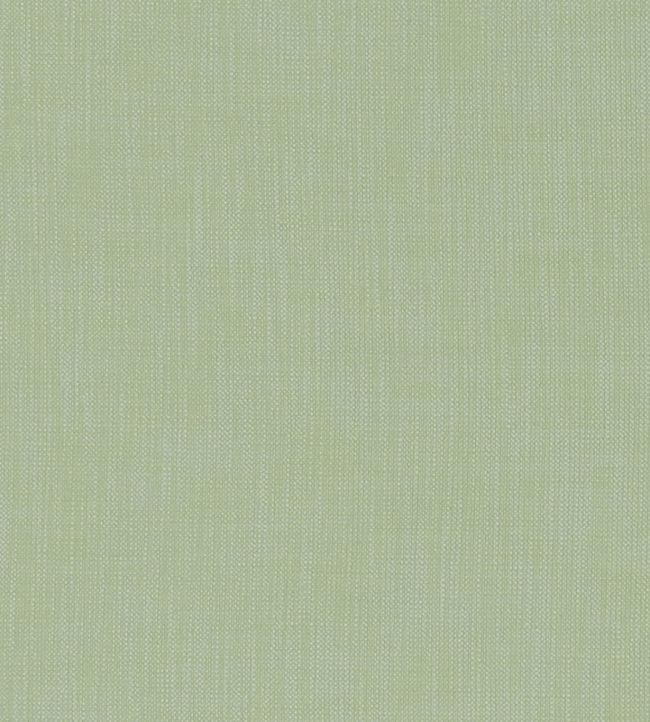 Heaton Fabric in Celadon by Clarke & Clarke | Jane Clayton