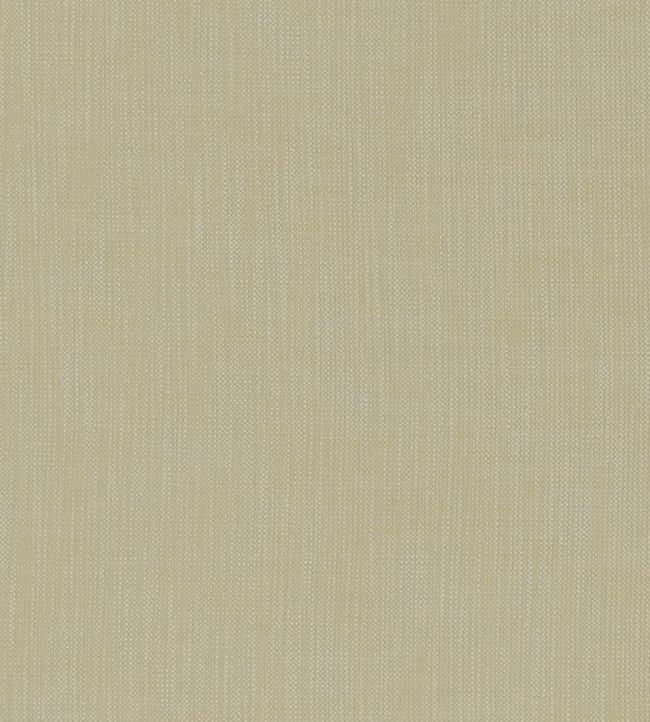 Heaton Fabric in Citron by Clarke & Clarke | Jane Clayton