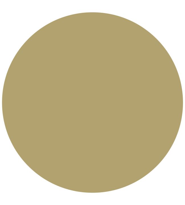 Zoffany Hessian Green Elite Emulsion Paint | Jane Clayton