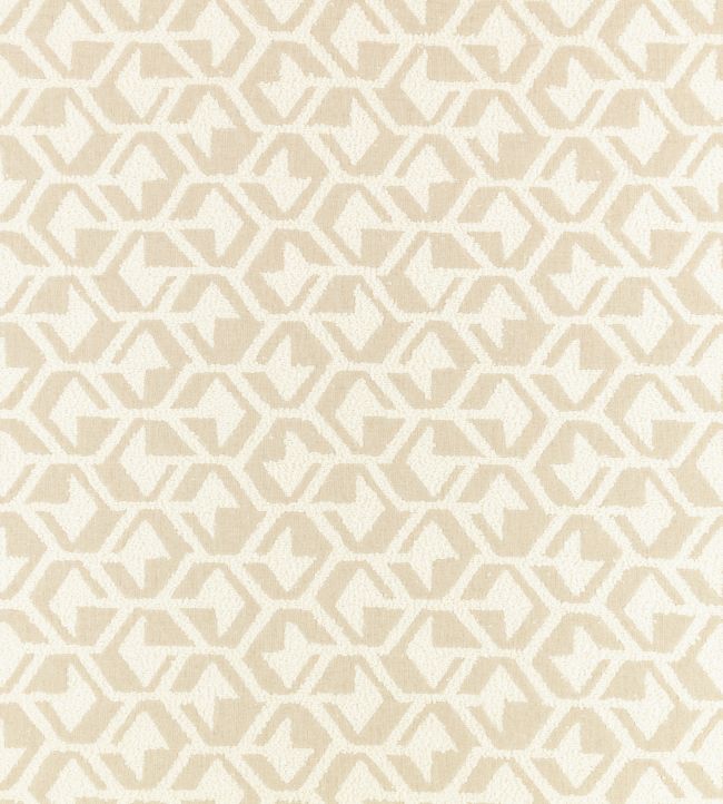Hex Fabric in Moonbeam by Zinc | Jane Clayton
