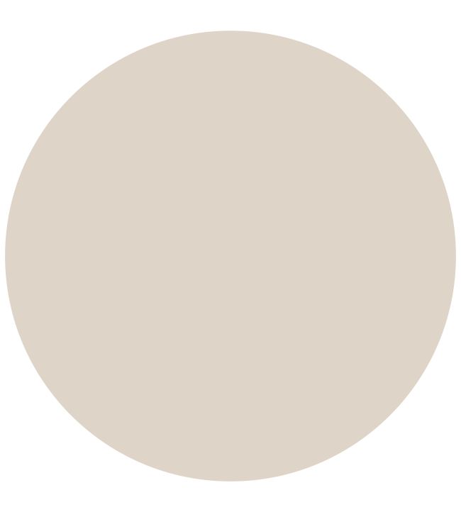 Mylands Honest John No.58 Paint | Jane Clayton