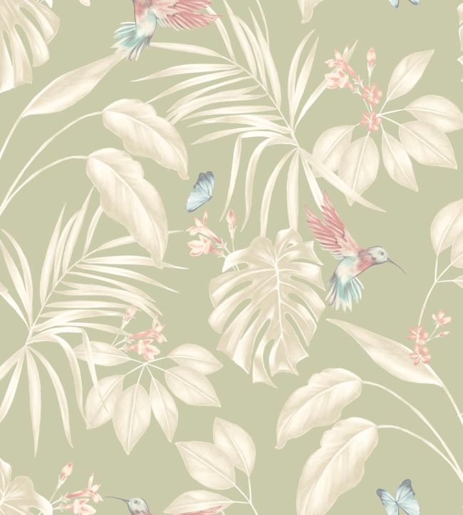 Hummingbird Wallpaper in Sage by Ohpopsi | Jane Clayton